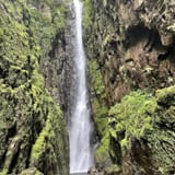 Scale Force Waterfall, Cumbria, England - 301 Reviews, Map | AllTrails