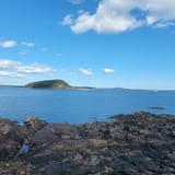 Bar Harbor Shore Path, Maine - 982 Reviews, Map | AllTrails