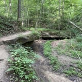 Turkey Run Outer Loop, Indiana - 585 Reviews, Map | AllTrails