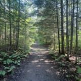 Mount Josephine Lookout Tower Trail, Minnesota - 482 Reviews, Map ...