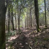 Mount Josephine Lookout Tower Trail, Minnesota - 482 Reviews, Map ...