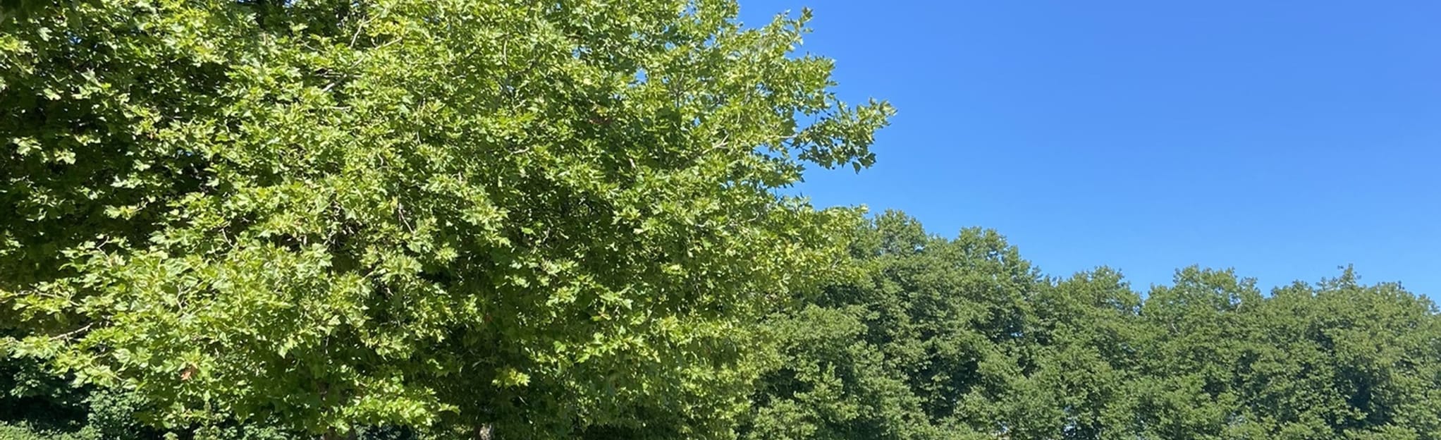 Ruston Way Trail: 887 Reviews, Map - Washington | AllTrails