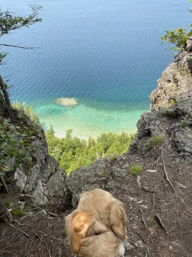 Beste wandelingen en routes in Hope Bay Forest Provincial Nature ...