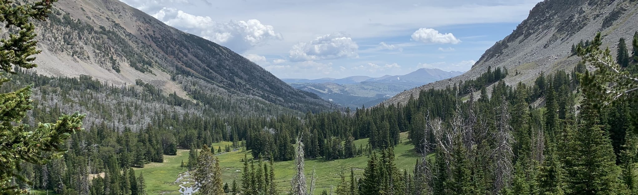 Hilgard Basin Trail, Montana - 43 Reviews, Map | AllTrails