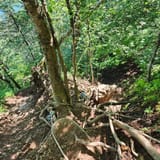 Amethyst Cove Trail, Nova Scotia, Canada - 353 Reviews, Map | AllTrails