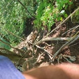 Amethyst Cove Trail, Nova Scotia, Canada - 353 Reviews, Map | AllTrails