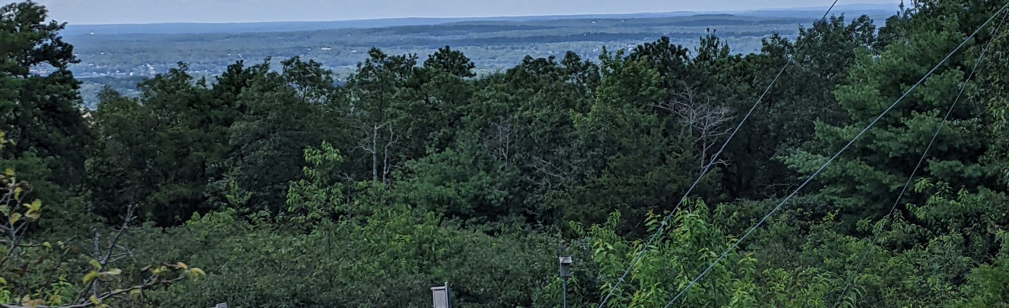 Great Blue Hill via Coon Hollow Path, Massachusetts - 951 Reviews, Map ...