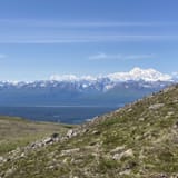 Kesugi Ridge (Curry Ridge) Trail, Alaska - 180 Reviews, Map | AllTrails