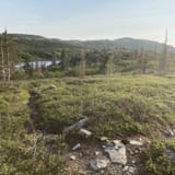 Kesugi Ridge (Curry Ridge) Trail, Alaska - 223 Reviews, Map | AllTrails