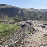 Kesugi Ridge (Curry Ridge) Trail, Alaska - 223 Reviews, Map | AllTrails