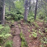 Kesugi Ridge (Curry Ridge) Trail, Alaska - 186 Reviews, Map | AllTrails