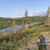 Kesugi Ridge (Curry Ridge) Trail, Alaska - 223 Reviews, Map | AllTrails