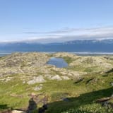 Kesugi Ridge (Curry Ridge) Trail, Alaska - 223 Reviews, Map | AllTrails