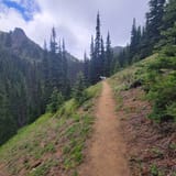 Silver Lake Way Trail, Washington - 428 Reviews, Map | AllTrails