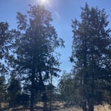 Riley Ranch Trails, Oregon - 391 Reviews, Map | AllTrails