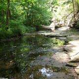 Nine Penny Branch Loop, Indiana - 561 Reviews, Map | AllTrails