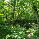 Nine Penny Branch Loop, Indiana - 561 Reviews, Map | AllTrails