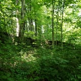 Nine Penny Branch Loop, Indiana - 561 Reviews, Map | AllTrails