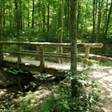 Nine Penny Branch Loop, Indiana - 561 Reviews, Map | AllTrails