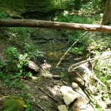 Nine Penny Branch Loop, Indiana - 561 Reviews, Map | AllTrails