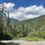 Shady Lane Trail, Washington - 161 Reviews, Map | AllTrails