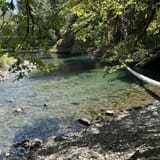 Shady Lane Trail, Washington - 161 Reviews, Map | AllTrails