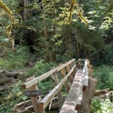 Shady Lane Trail, Washington - 161 Reviews, Map | AllTrails
