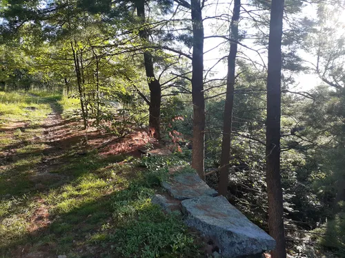 10 Best Walking Trails in Worcester | AllTrails