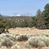 Riley Ranch Trails, Oregon - 461 Reviews, Map | AllTrails