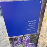 Riley Ranch Trails, Oregon - 474 Reviews, Map | AllTrails