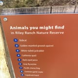 Riley Ranch Trails, Oregon - 474 Reviews, Map | AllTrails