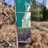 Riley Ranch Trails, Oregon - 391 Reviews, Map | AllTrails