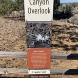 Riley Ranch Trails, Oregon - 391 Reviews, Map | AllTrails