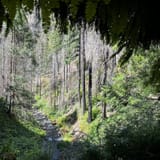 Eagle Creek Trail, Oregon - 798 Reviews, Map | AllTrails
