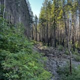 Eagle Creek Trail, Oregon - 798 Reviews, Map | AllTrails