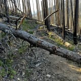 Eagle Creek Trail, Oregon - 798 Reviews, Map | AllTrails