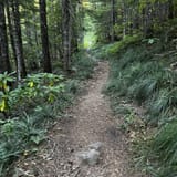 Eagle Creek Trail, Oregon - 798 Reviews, Map | AllTrails