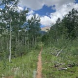 Heizer Trail, Colorado - 972 Reviews, Map | AllTrails