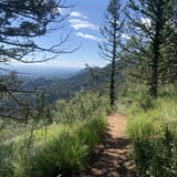 Heizer Trail, Colorado - 972 Reviews, Map | AllTrails