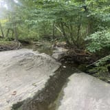 Goucher College Campus Loop, Maryland - 118 Reviews, Map | AllTrails