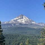 Dog River Trail, Oregon - 252 Reviews, Map | AllTrails