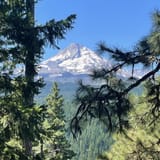 Dog River Trail, Oregon - 252 Reviews, Map | AllTrails