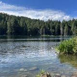 Killarney Lake Loop , British Columbia, Canada - 408 Reviews, Map ...