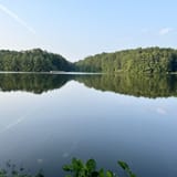Lake Pine Loop, North Carolina - 975 Reviews, Map | AllTrails