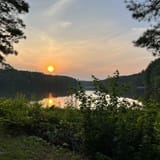 Lake Pine Loop, North Carolina - 975 Reviews, Map | AllTrails