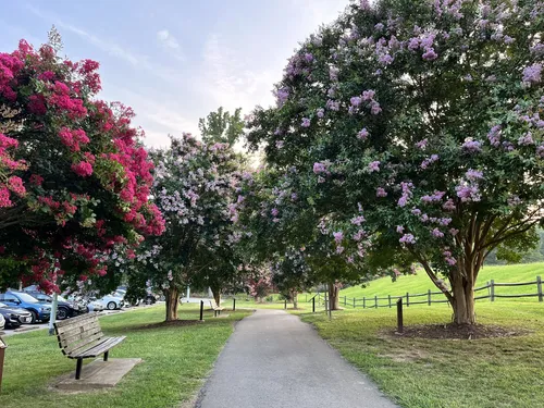 Best Hikes and Trails in Apex Community Park | AllTrails