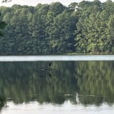 Lake Pine Loop, North Carolina - 975 Reviews, Map | AllTrails