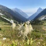 Balu Pass, British Columbia, Canada - 184 Reviews, Map | AllTrails