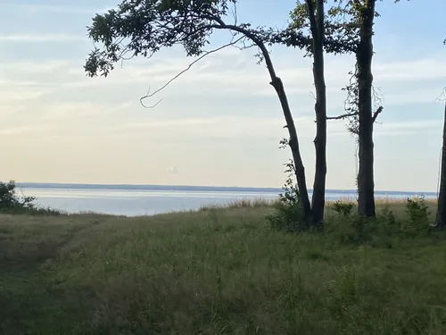 Best Hikes and Trails in Caumsett State Historic Park Preserve | AllTrails