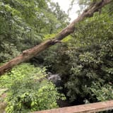 Cone Manor, Bass Lake, and The Maze Loop, North Carolina - 1,195 ...